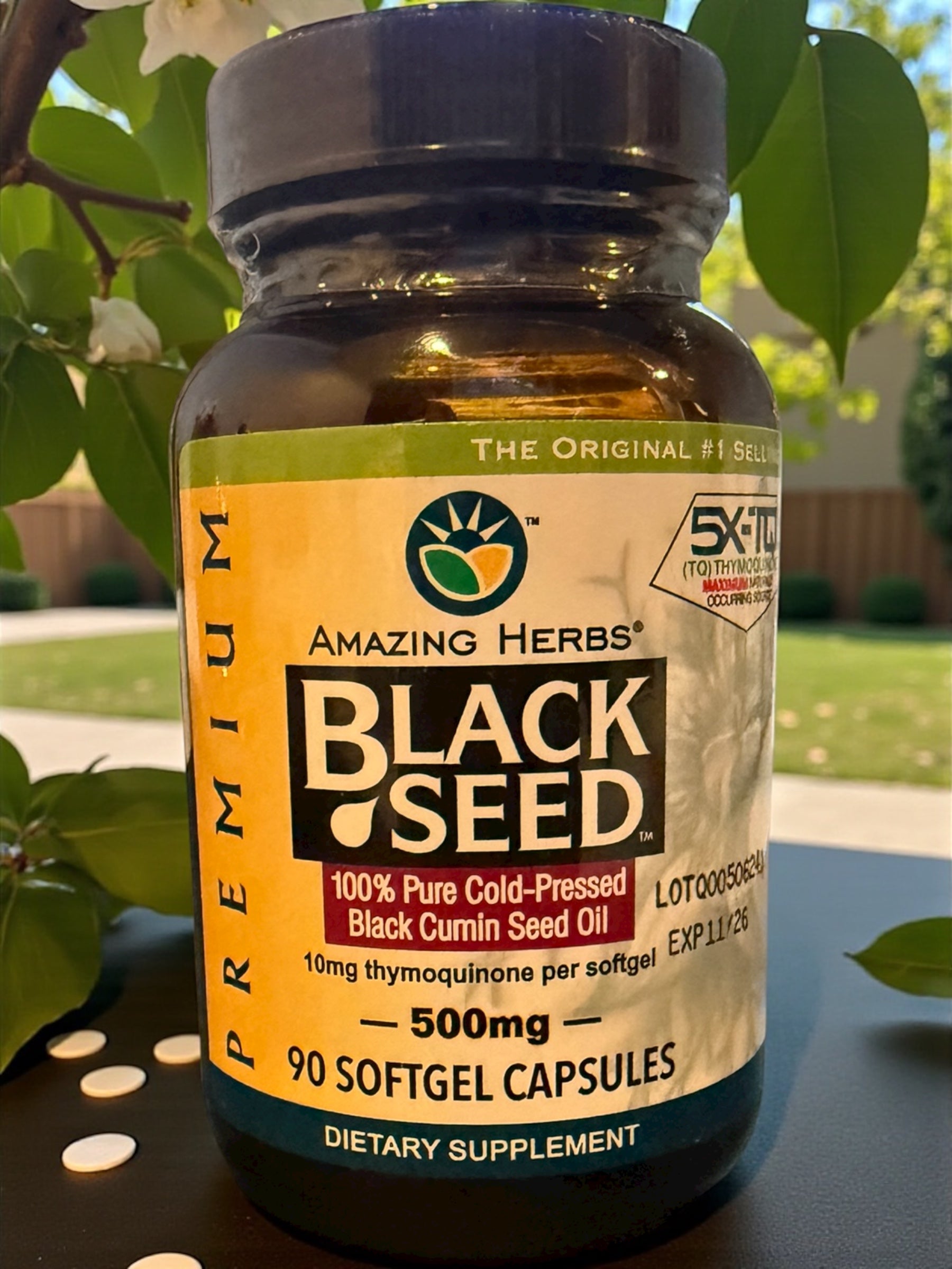 Black Seed Oil Softgels – 500mg Cold-Pressed Black Cumin Seed Oil (90 ...